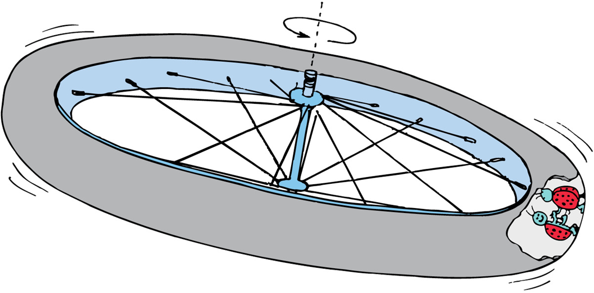 Movimento circular uniforme: Fórmulas e resumo - Blog